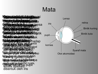 PPT supervisi B alat optik mata & mikroskop.ppt