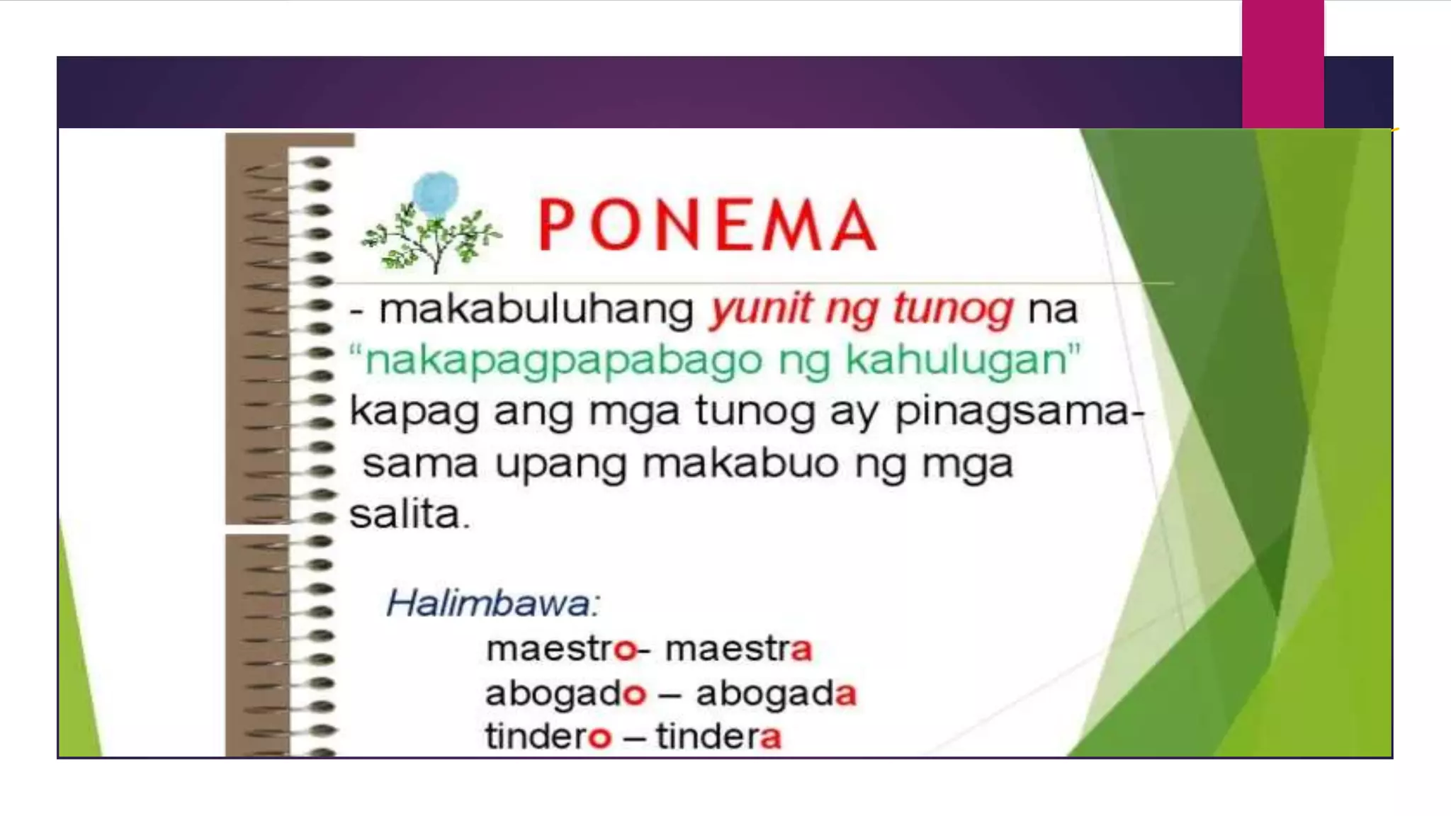 PPT SUPRASEGMENTAL G7 3Q.pptx