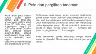 Ppt surjan klpk 3 | PPT