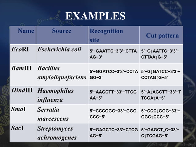 NEW PHARMACEUTICALS DERIVED FROM BIOTECHNOLOGY | PPTX | Biotech and ...