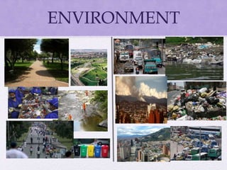 Ppt sustainable development | PPTX