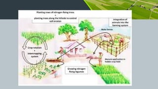 pertanian berkelanjutan di indonesia.pptx