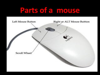 basics of the computer system part -1 | PPT | Desktops | Computing