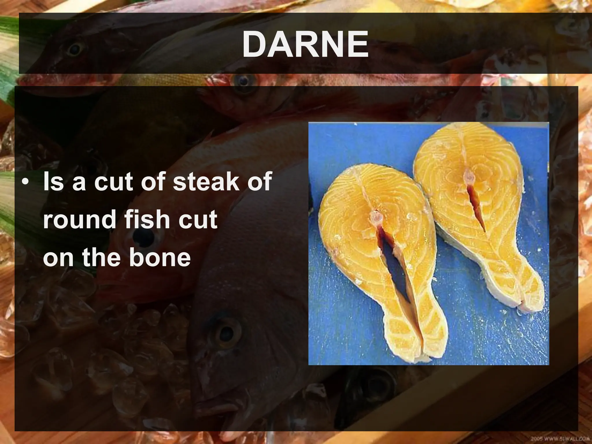 PPTT2( Fish,classification, cuts of fish ).ppt