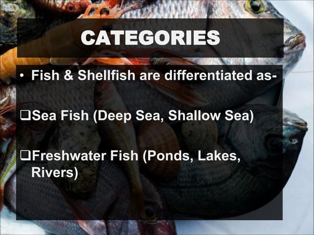 PPTT2( Fish,classification, cuts of fish ).ppt