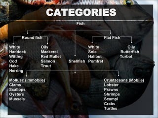 PPTT2( Fish,classification, cuts of fish ).ppt