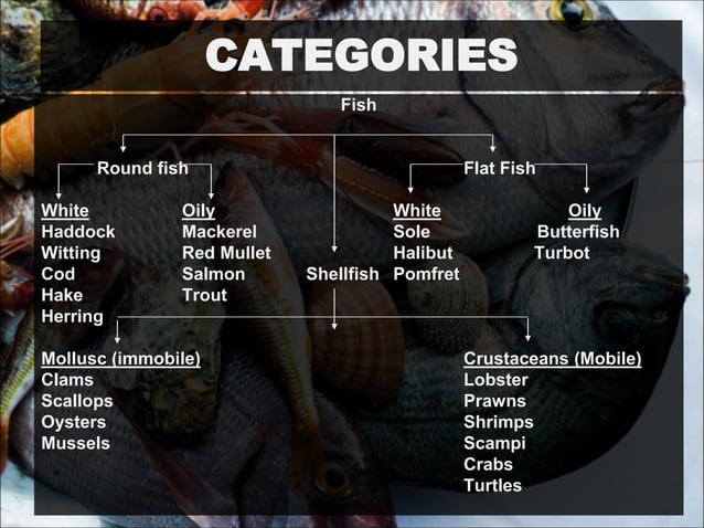 PPTT2( Fish,classification, cuts of fish ).ppt