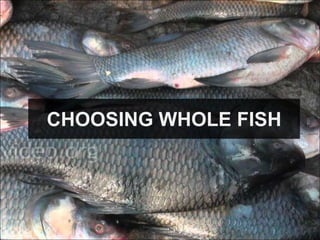 PPTT2( Fish,classification, cuts of fish ).ppt