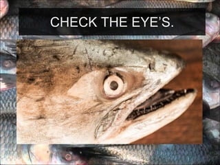 PPTT2( Fish,classification, cuts of fish ).ppt