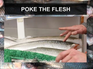 PPTT2( Fish,classification, cuts of fish ).ppt