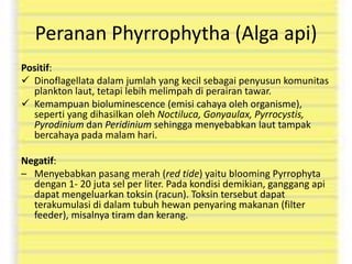 pyrophyta dan euglenophyta | PPTX