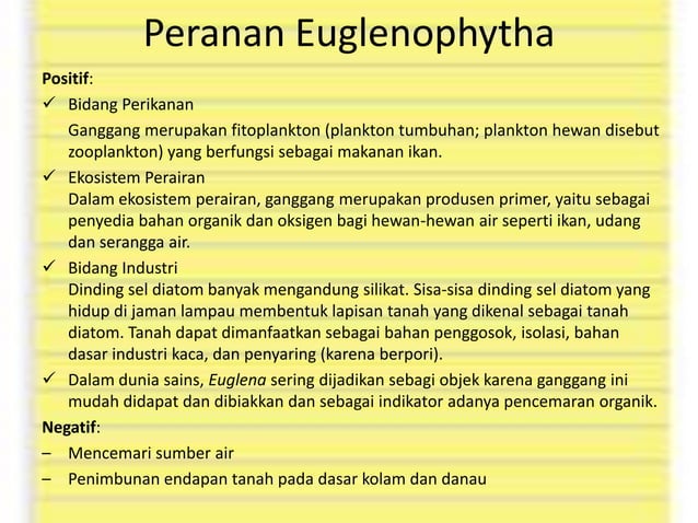 pyrophyta dan euglenophyta | PPTX