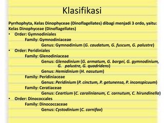 pyrophyta dan euglenophyta | PPTX