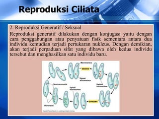 PPT TAKSMON KEL 3 CILIATA.pptx