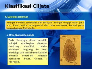 PPT TAKSMON KEL 3 CILIATA.pptx