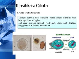 PPT TAKSMON KEL 3 CILIATA.pptx