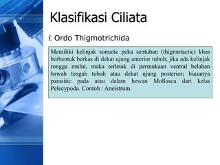 PPT TAKSMON KEL 3 CILIATA.pptx