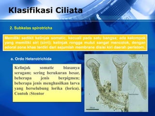 PPT TAKSMON KEL 3 CILIATA.pptx