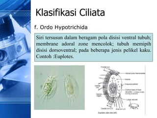 PPT TAKSMON KEL 3 CILIATA.pptx