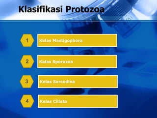 PPT TAKSMON KEL 3 CILIATA.pptx