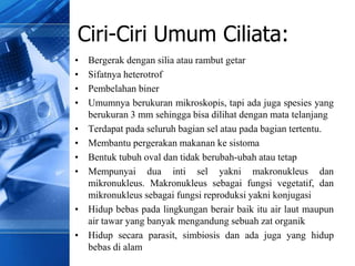 PPT TAKSMON KEL 3 CILIATA.pptx