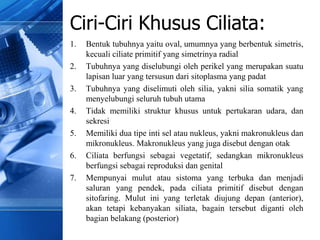 PPT TAKSMON KEL 3 CILIATA.pptx