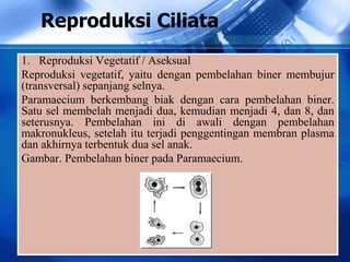 PPT TAKSMON KEL 3 CILIATA.pptx