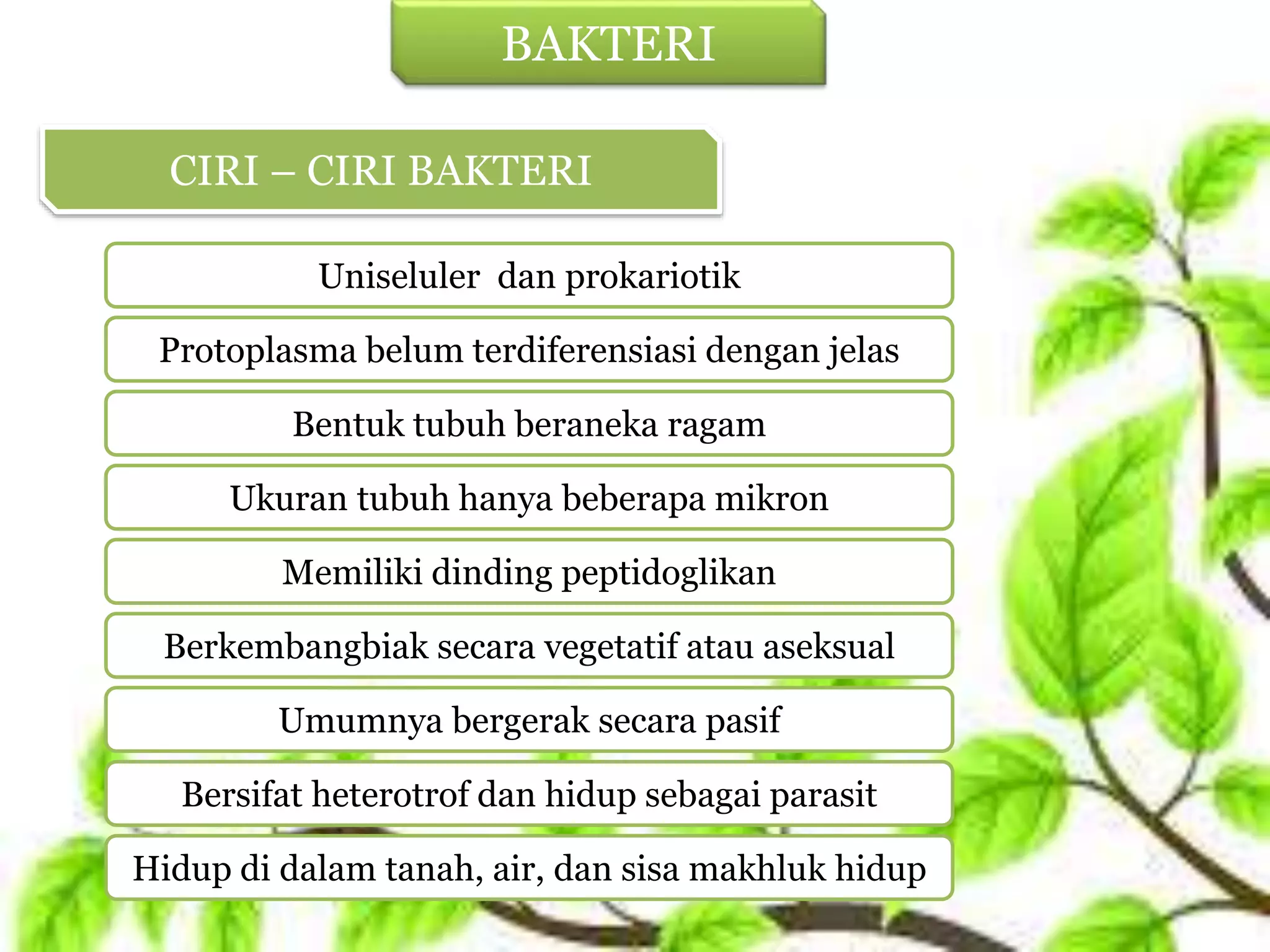 Taksonomi Tumbuhan I DIVISI SCHIZOPHYTA ( Monera) | PPTX