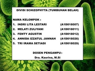 Taksonomi Tumbuhan I DIVISI SCHIZOPHYTA ( Monera) | PPTX