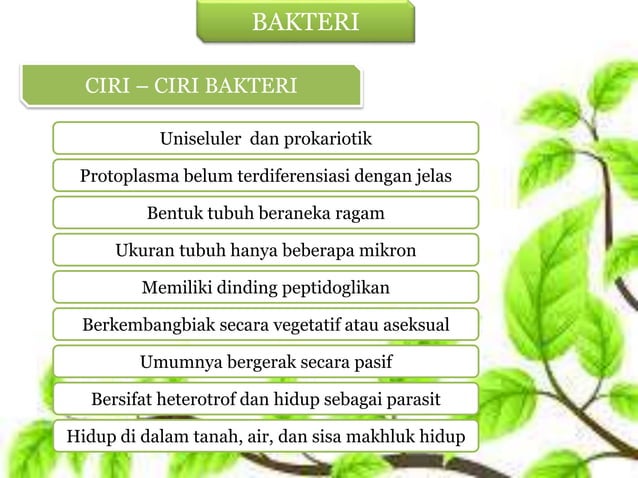 Taksonomi Tumbuhan I DIVISI SCHIZOPHYTA ( Monera) | PPTX