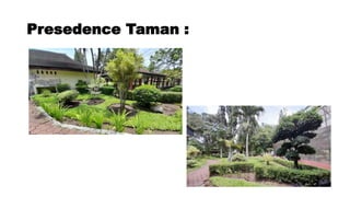 PPT TAMAN.pptx