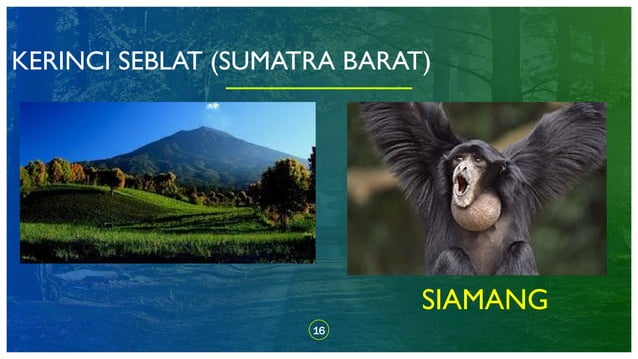 PPT MATERI TAMAN NASIONAL DAN FAUNA.pptx