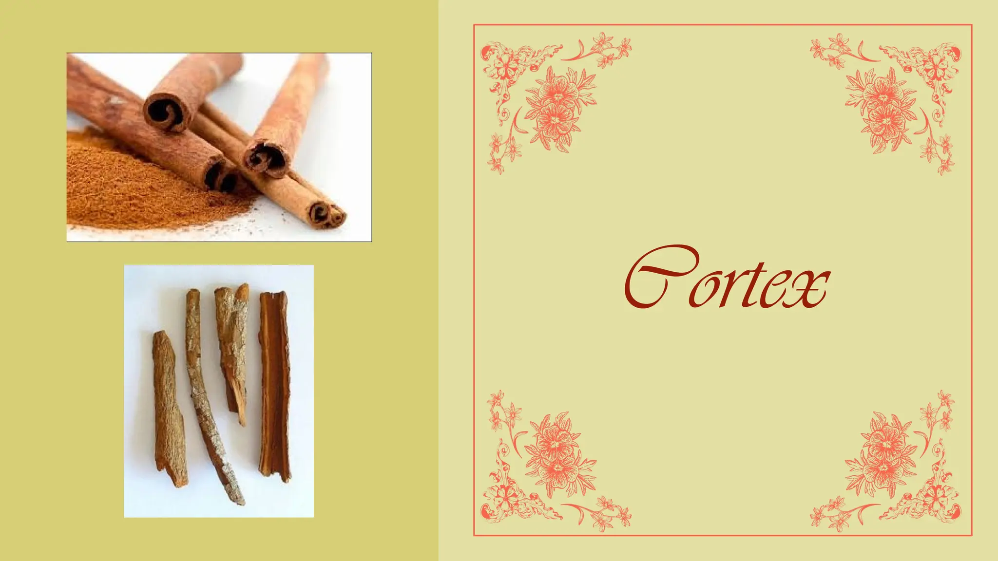 PPT Tanaman Obat dan simplisia serta pengolahannya.pptx