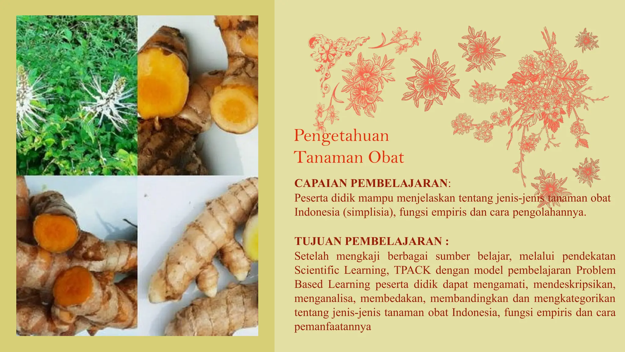 PPT Tanaman Obat dan simplisia serta pengolahannya.pptx