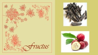 PPT Tanaman Obat dan simplisia serta pengolahannya.pptx