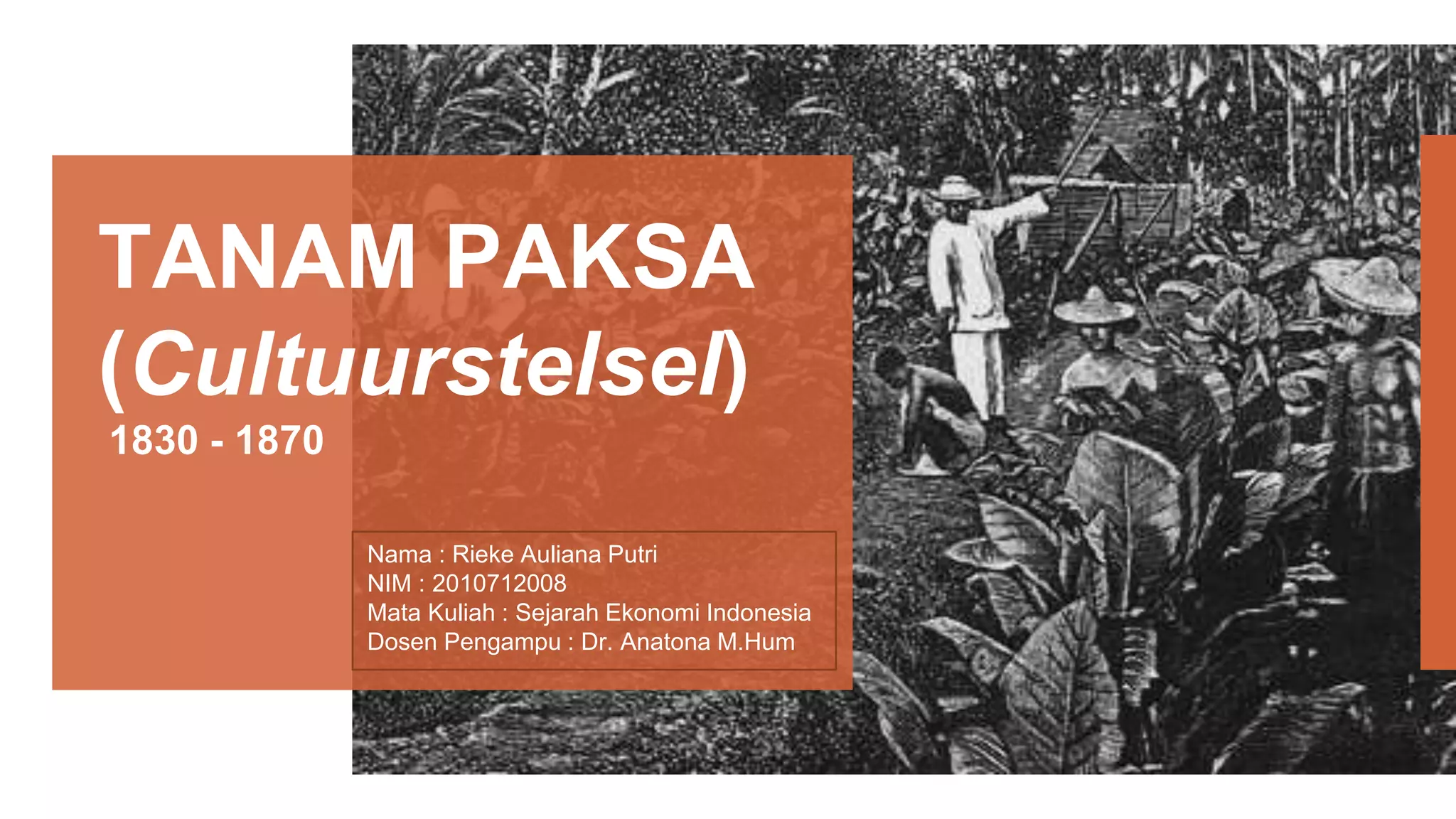 PPT_Tanam_Paksa_Cultuurstelsel_Rieke_Aul.pptx