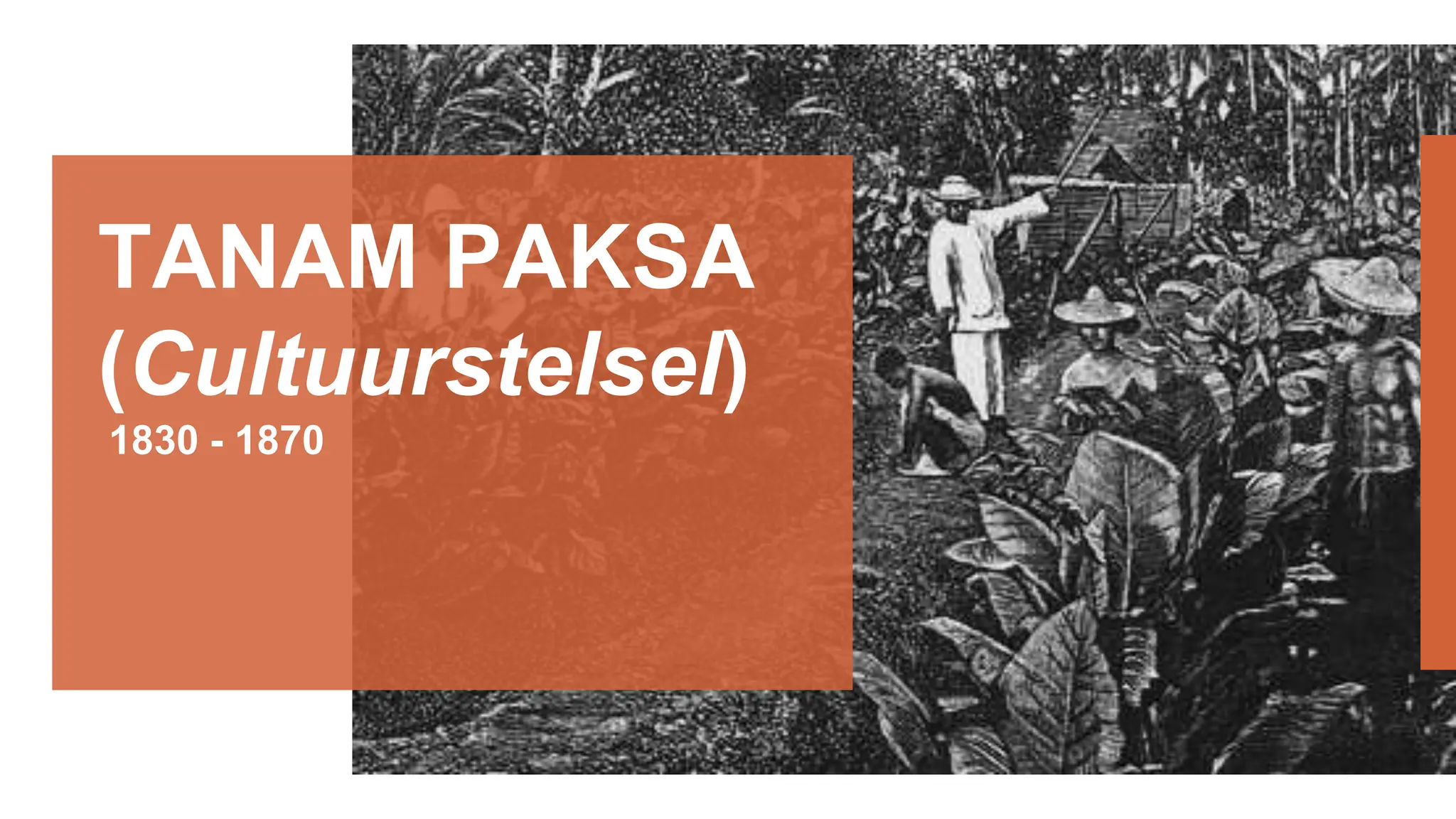 PPT_Tanam_Paksa_Cultuurstelsel_Rieke_Aul.pptx