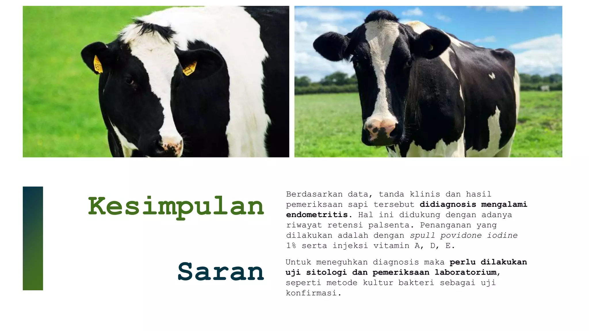 ppt TA Nucha (re-desain).pptx