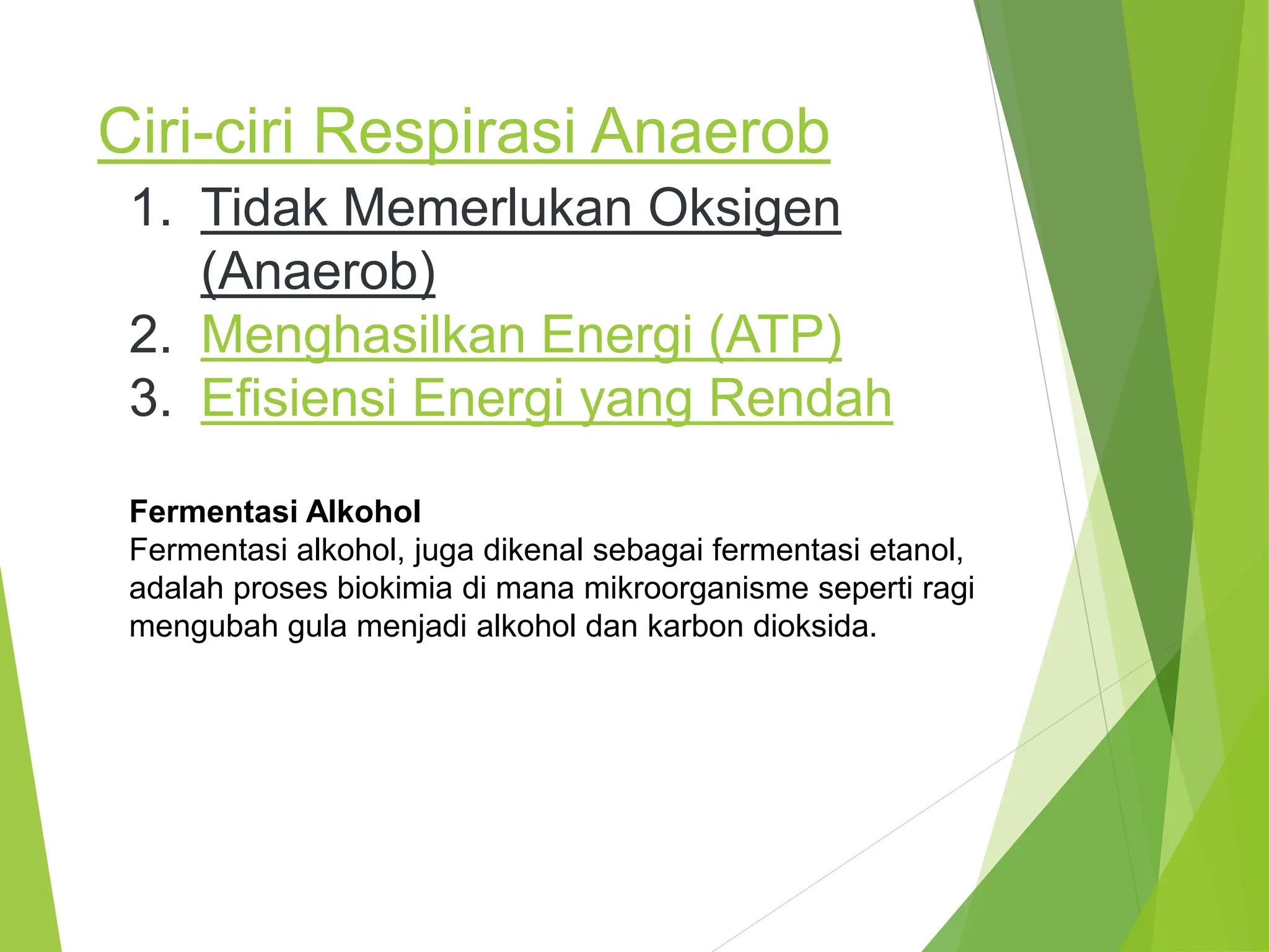 PPT TAPAI.pptx