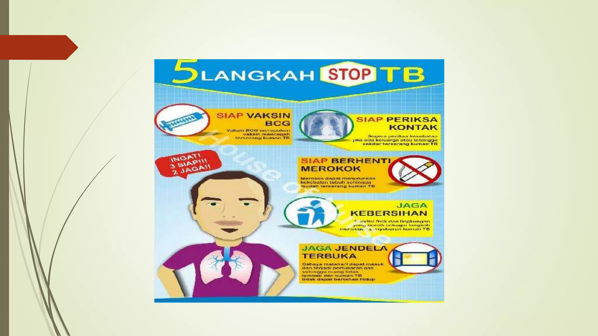 PPT TBC | PPT