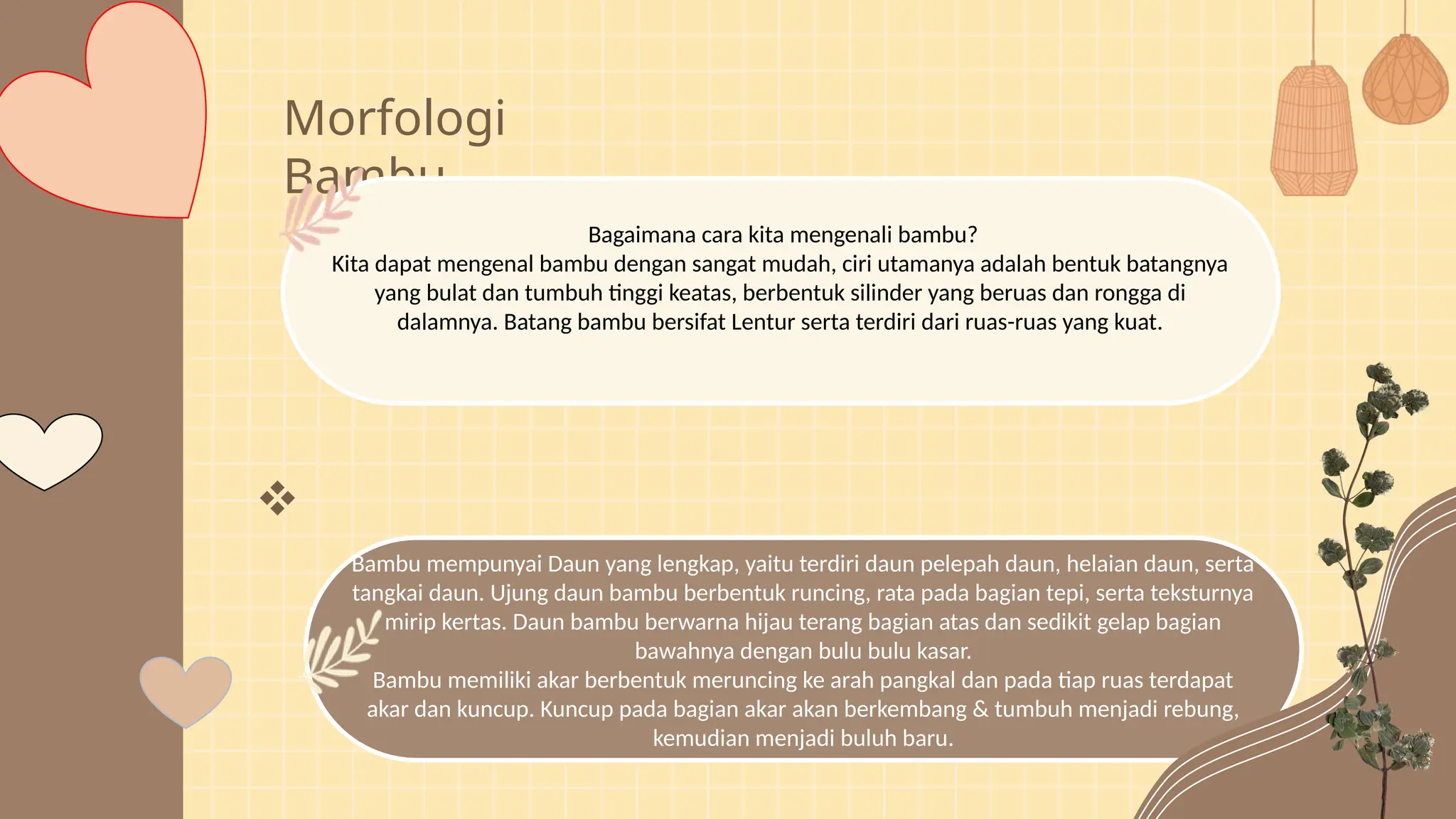 Bambu adalah tanaman jenis rumput-rumputan dengan rongga dan ruas pada ...