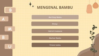 Bambu adalah tanaman jenis rumput-rumputan dengan rongga dan ruas pada ...