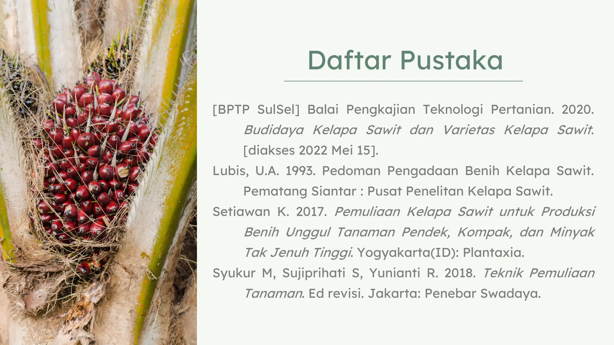 Teknik Persilangan Kelapa Sawit dan Daftar Varietas Kelapa Sawit | PDF