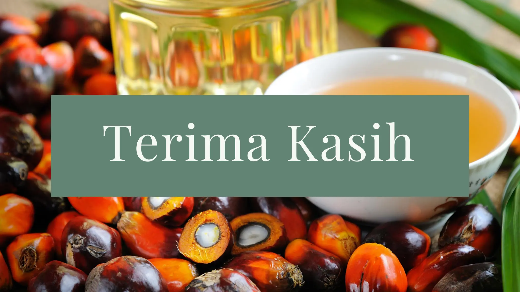 Teknik Persilangan Kelapa Sawit dan Daftar Varietas Kelapa Sawit | PDF