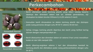 Teknik Persilangan Kelapa Sawit dan Daftar Varietas Kelapa Sawit | PDF