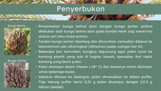 Teknik Persilangan Kelapa Sawit dan Daftar Varietas Kelapa Sawit | PDF