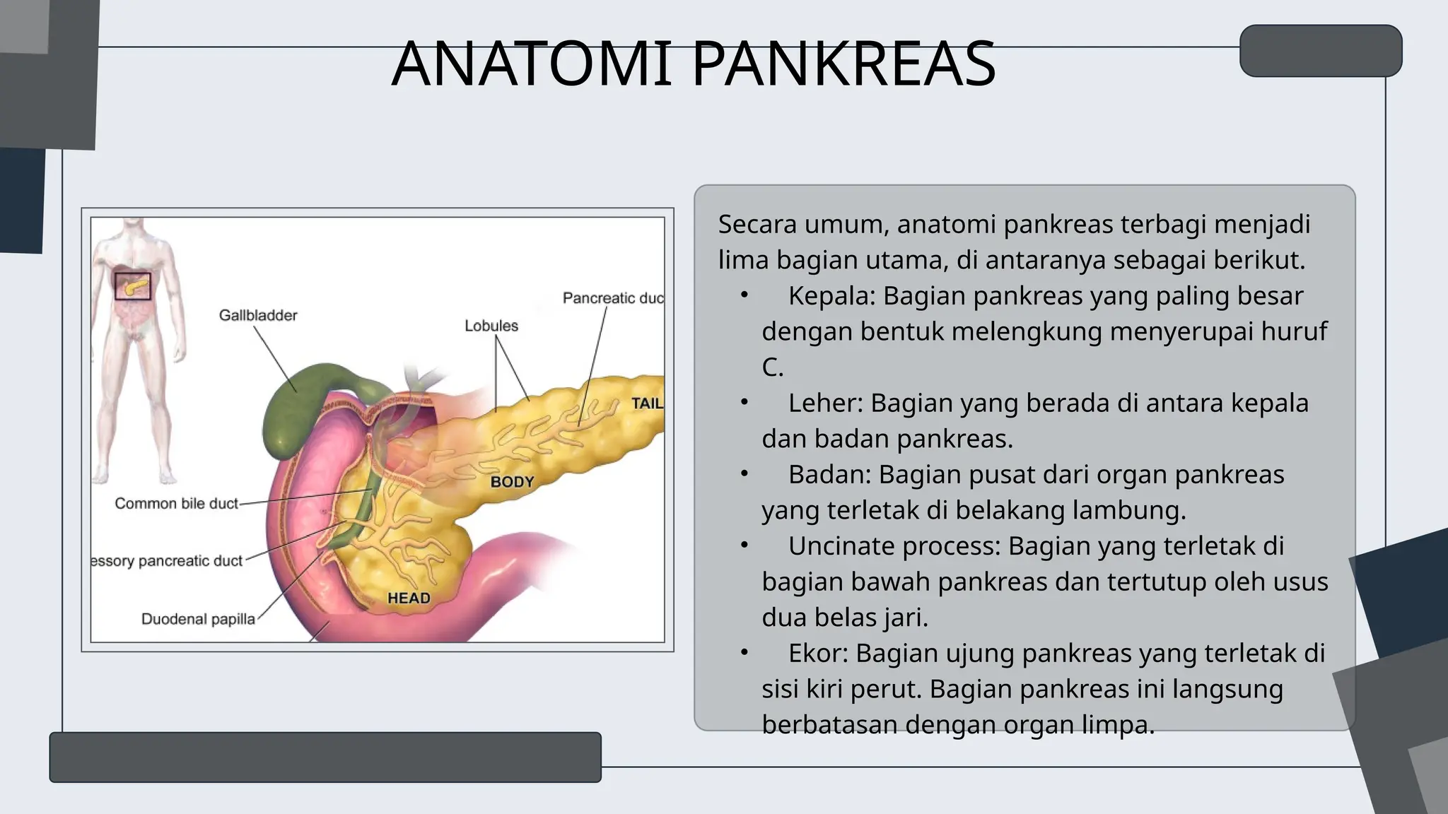 ppt usg pankreas oleh kelas f kelompok 2.pptx
