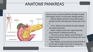 ppt usg pankreas oleh kelas f kelompok 2.pptx