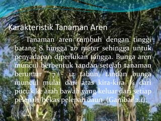 Pemanfaatan Nira Aren sebagai Bahan Bakar Bioetanol | PPTX