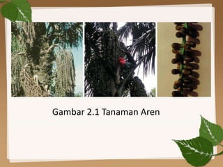 Pemanfaatan Nira Aren sebagai Bahan Bakar Bioetanol | PPTX